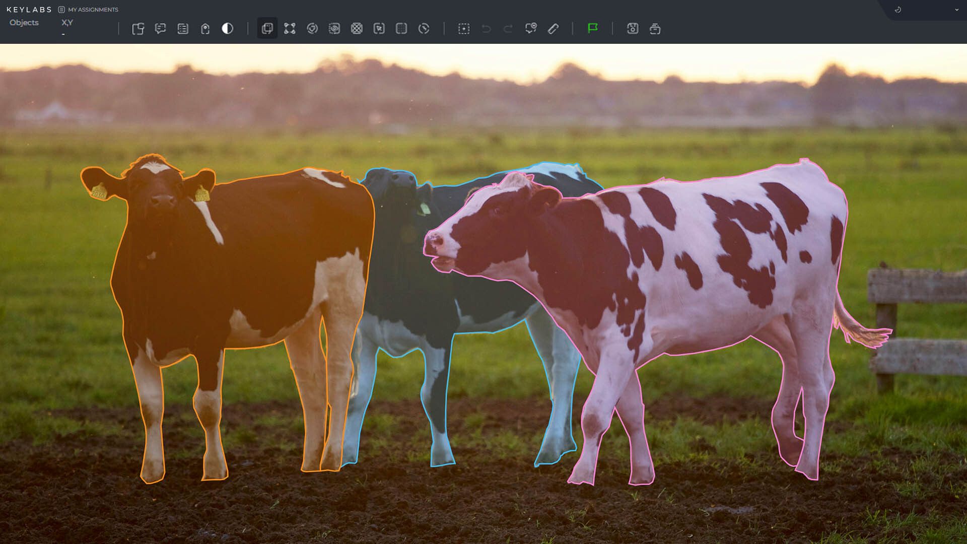 Choosing Image Classification Models | Keylabs Choosing Image Classification Models | Keylabs