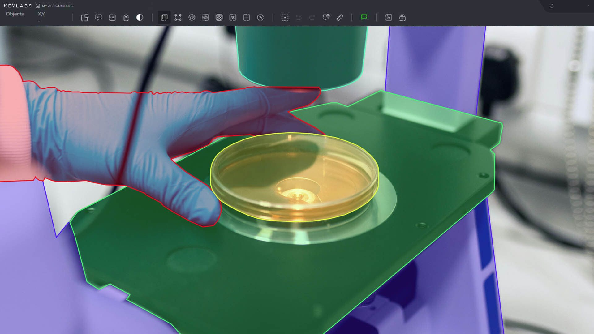 Image Classification for Medical Image Analysis | Keylabs