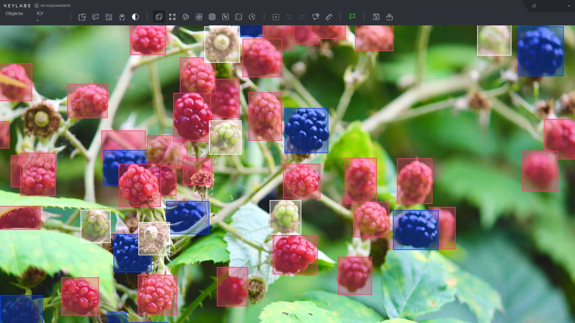 How Ai Powered Data Annotation Is Revolutionizing Farming Keylabs