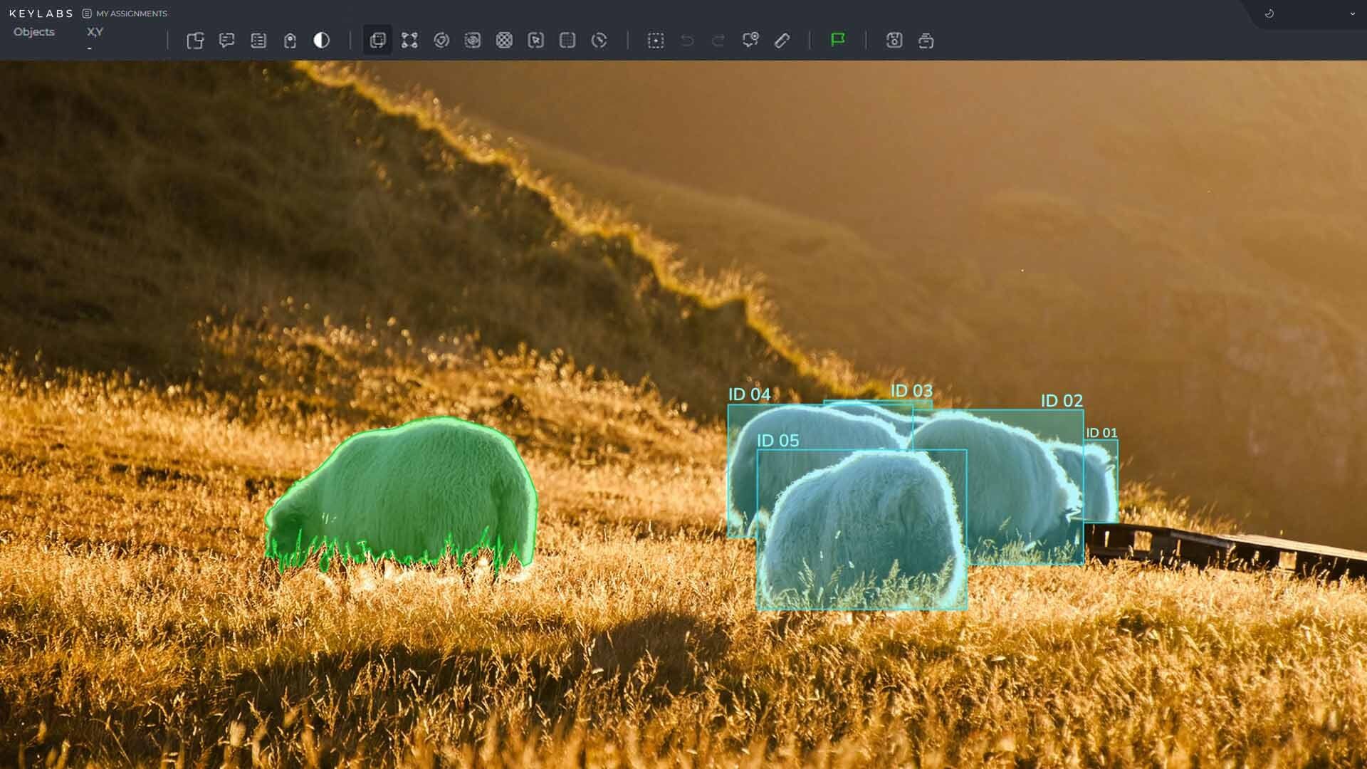 Data Labeling vs Data Annotation: Key Differences | Keylabs