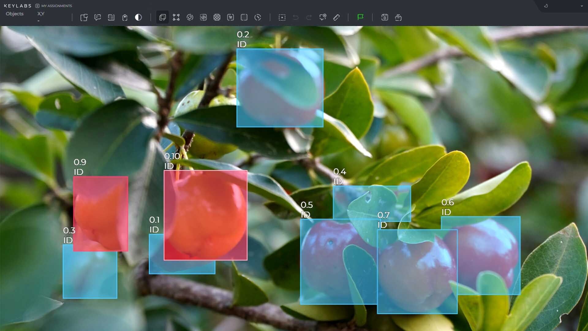 Data Annotation Best Practices Keylabs