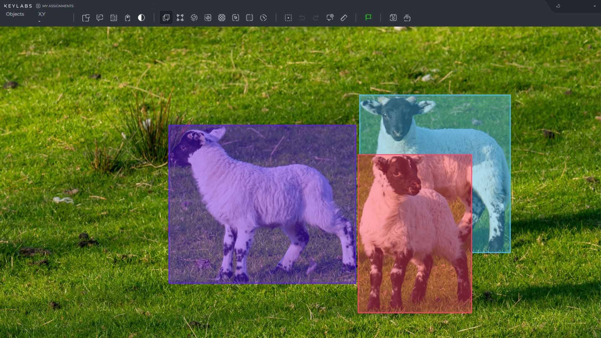Annotation Project Planning: Timeline and Budget Guide | Keylabs