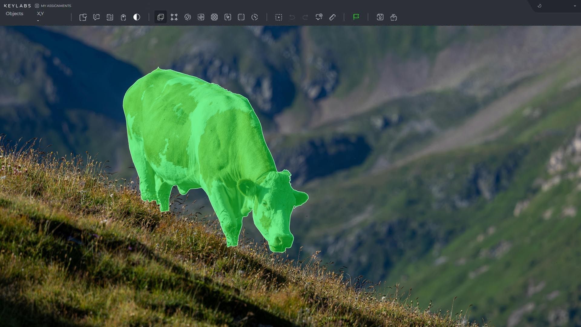Model Interpretability for Critical Business Decisions | Keylabs