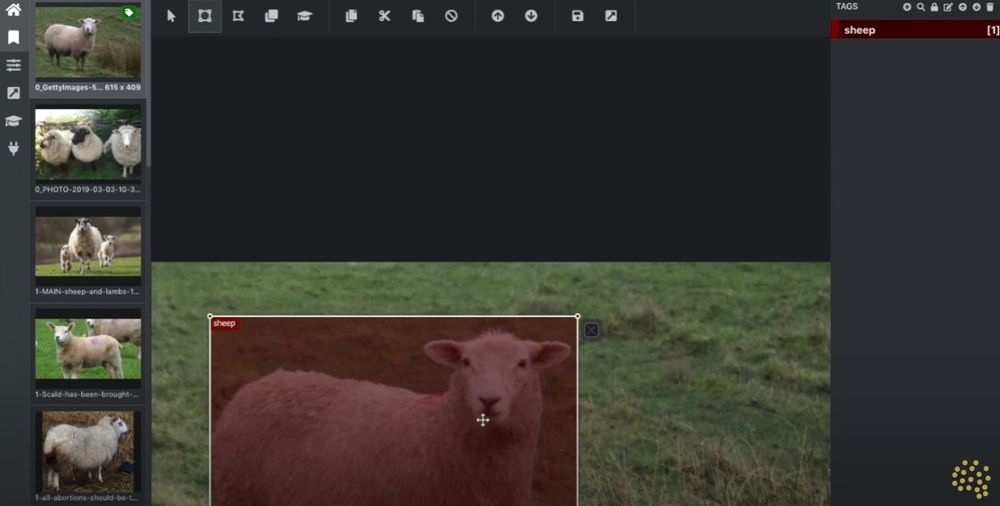 How To Effectively Use Labeling Tools | Keylabs