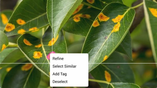 The Top 3 ML Data Labeling Tools for Agriculture | Keylabs