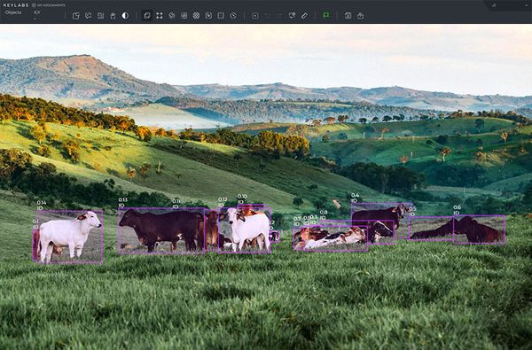 Data Labeling for Deep Learning: A Comprehensive Guide | Keylabs