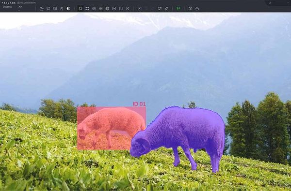 Data Labeling vs Data Annotation: Key Differences | Keylabs